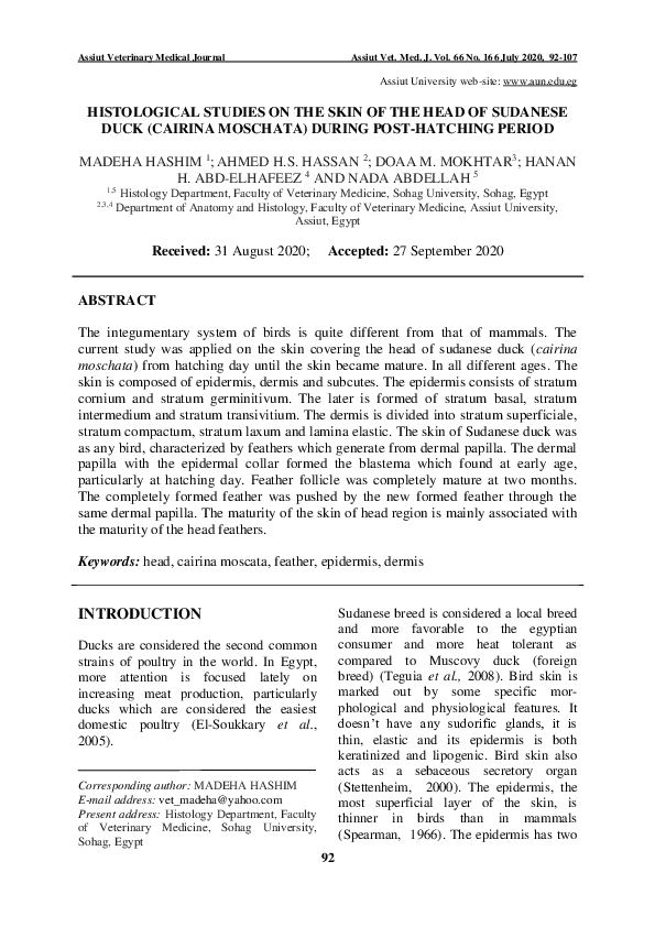 (PDF) Histological Studies on the Skin of the Head of Sudanese Duck ...