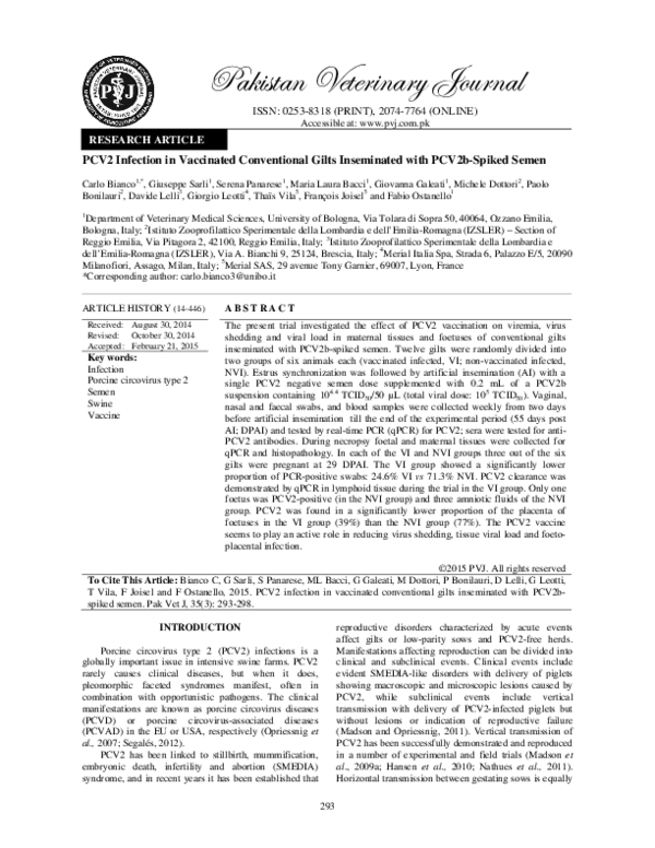 (PDF) PCV2 Infection in Vaccinated Conventional Gilts Inseminated with ...