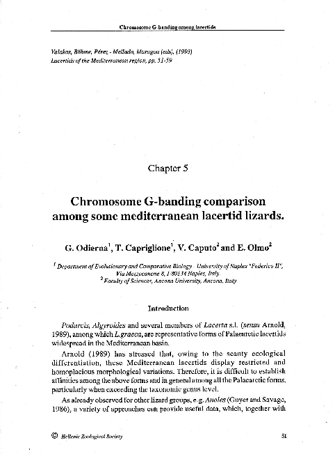 (PDF) Chromosome G-banding comparison among some Mediterranean lacertid ...