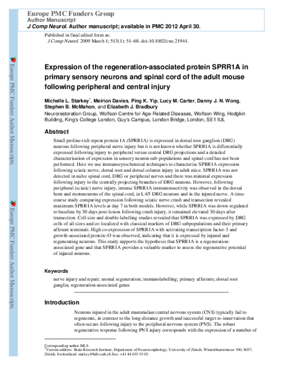 (PDF) Expression of the regeneration-associated protein SPRR1A in ...