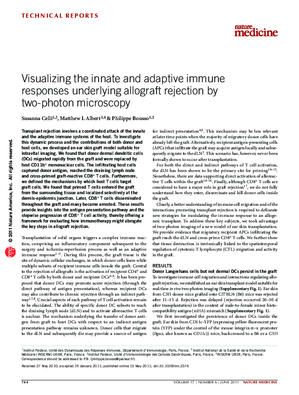 (PDF) Visualizing the innate and adaptive immune responses underlying ...