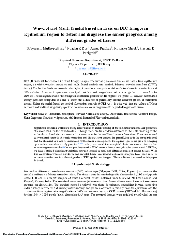 Pdf Wavelet And Multi Fractal Based Analysis On Dic Images In Epithelium Region To Detect And