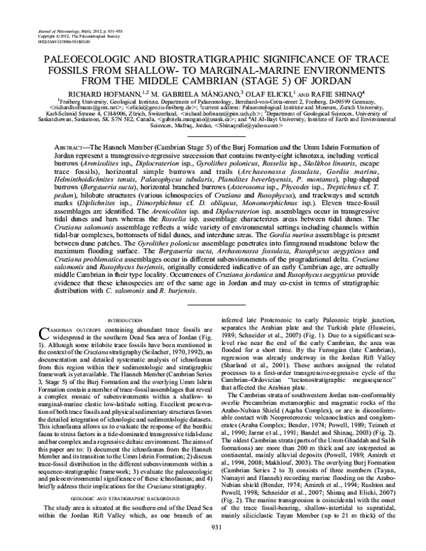 (PDF) Paleoecologic and Biostratigraphic Significance of Trace Fossils ...