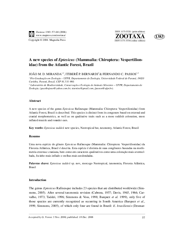 (PDF) A new species of Eptesicus (Mammalia: Chiroptera ...