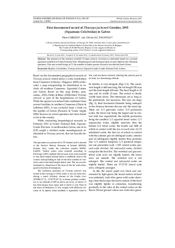 (PDF) First documented record of Thrasops jacksonii Günther, 1895 ...