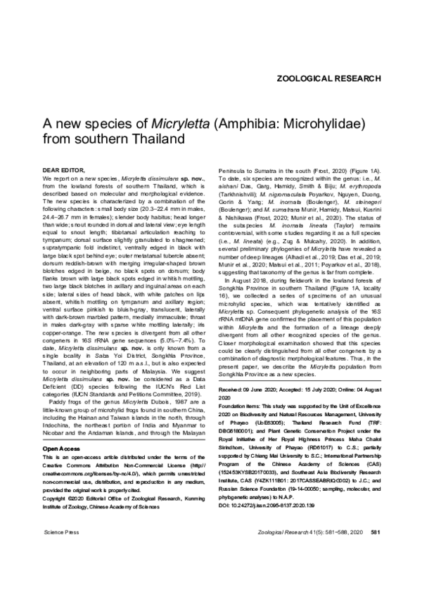 (PDF) A new species of Micryletta (Amphibia: Microhylidae) from ...
