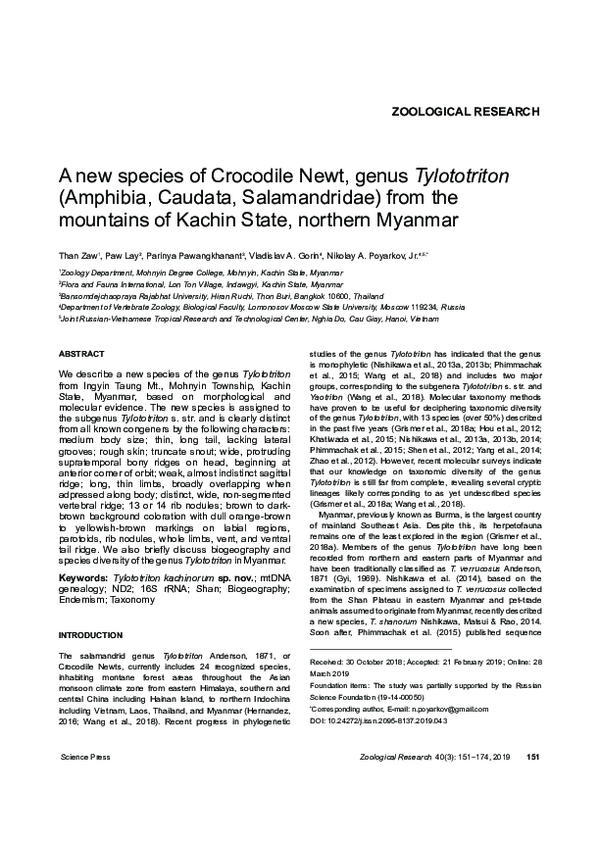 (PDF) A new species of Crocodile Newt, genus Tylototriton (Amphibia ...