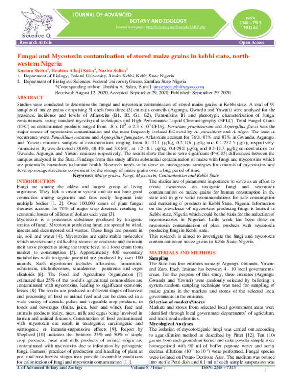 Pdf Fungal And Mycotoxin Contamination Of Stored Maize Grains In Kebbi State North Western