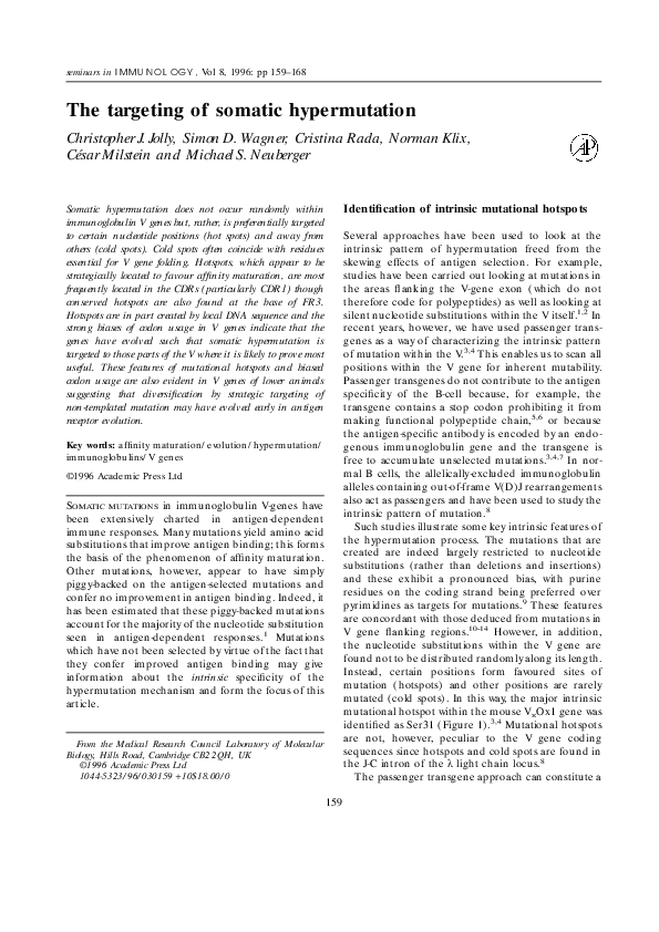 (PDF) The targeting of somatic hypermutation