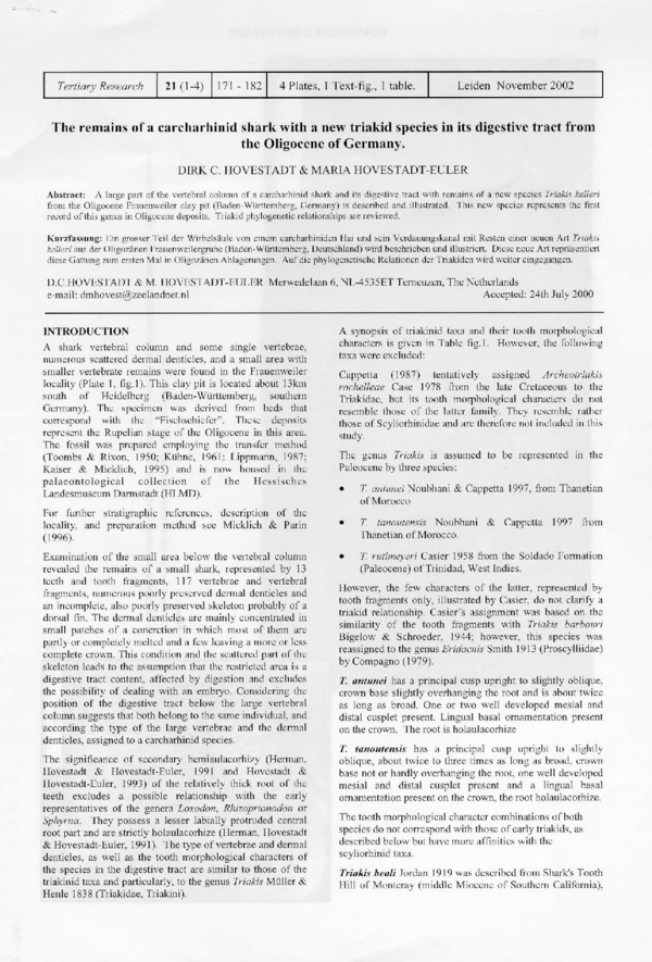 (PDF) The remains of a carcharhinid shark with a new triakid species in ...