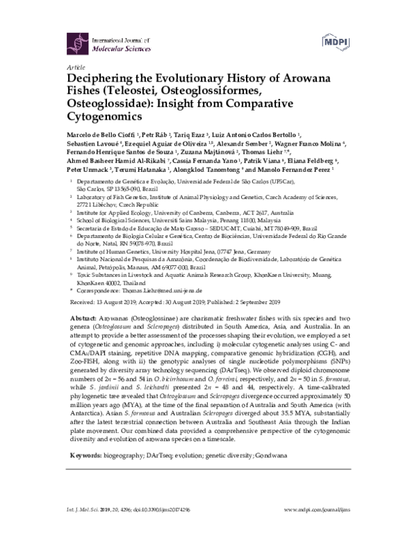 (PDF) Deciphering the Evolutionary History of Arowana Fishes (Teleostei ...