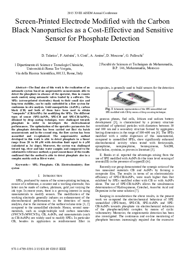 (PDF) Screen-printed electrode modified with carbon black nanoparticles ...