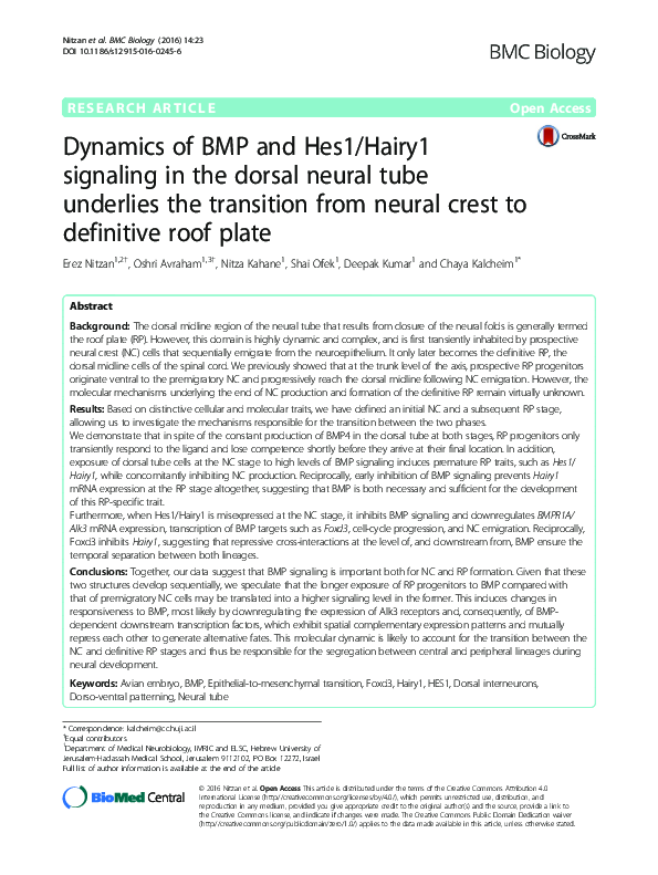 (PDF) Dynamics of BMP and Hes1/Hairy1 signaling in the dorsal neural ...
