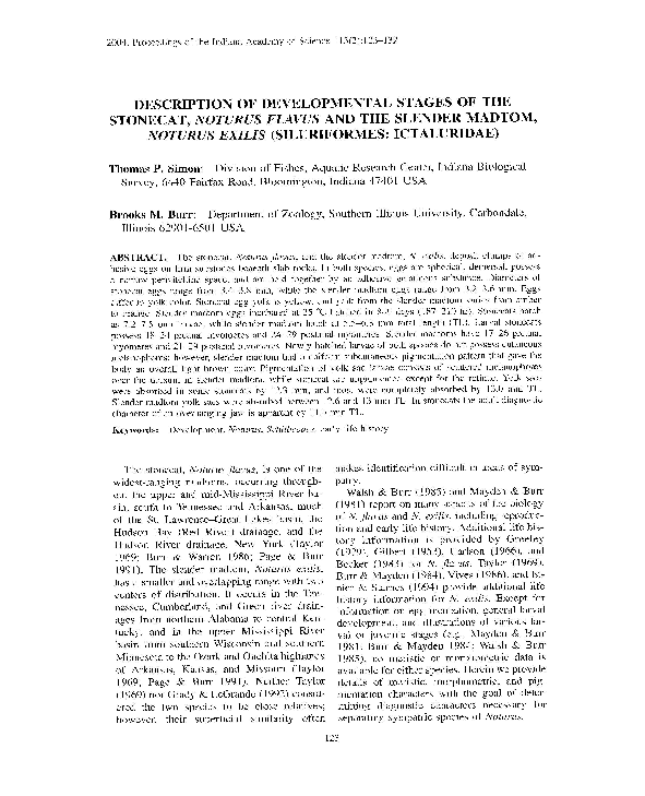 Description of developmental stages of the stonecat, Noturus flavus and ...