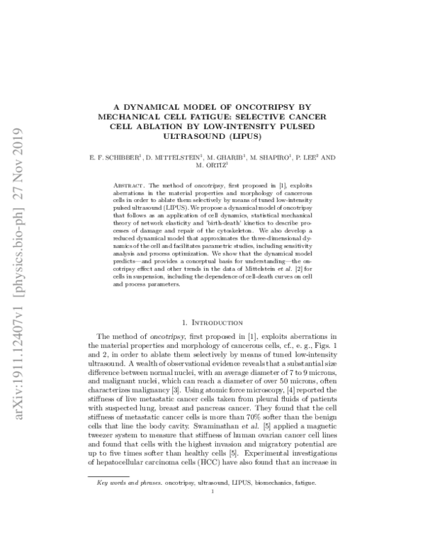(PDF) New aspects of the Dead Sea strike slip fault zone from the ...