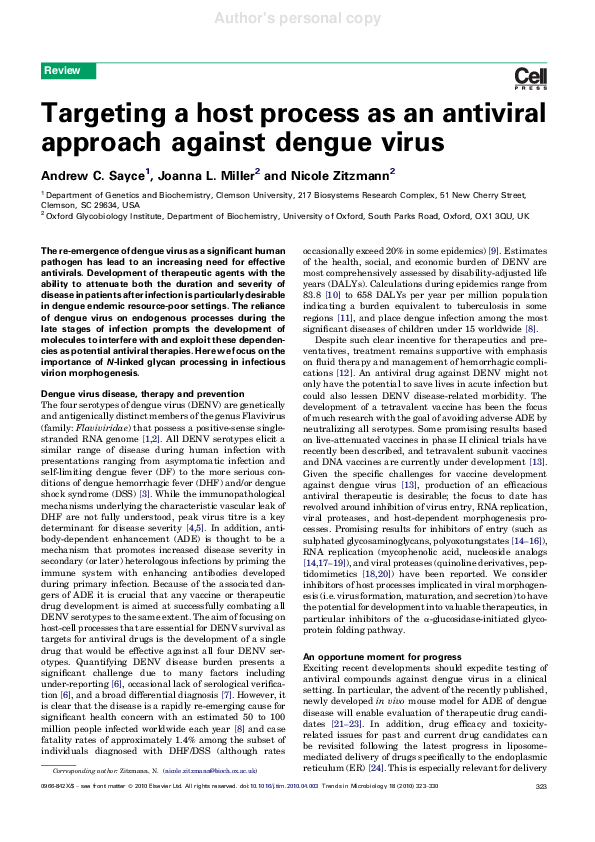 Pdf Targeting A Host Process As An Antiviral Approach Against Dengue