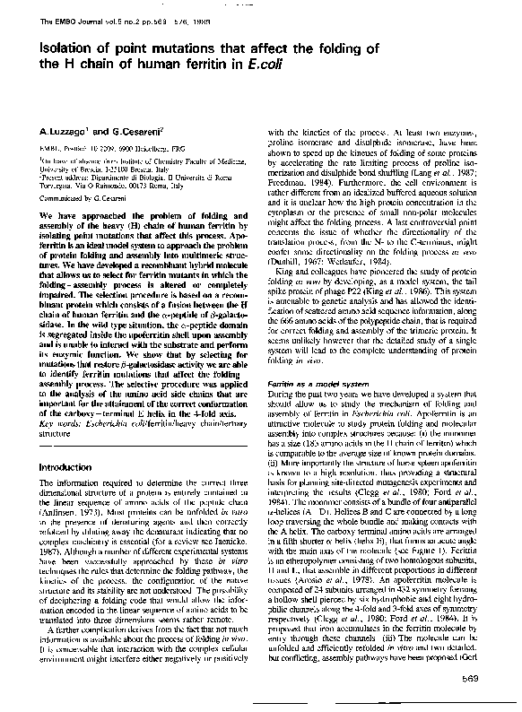 (PDF) Isolation of point mutations that affect the folding of the H ...