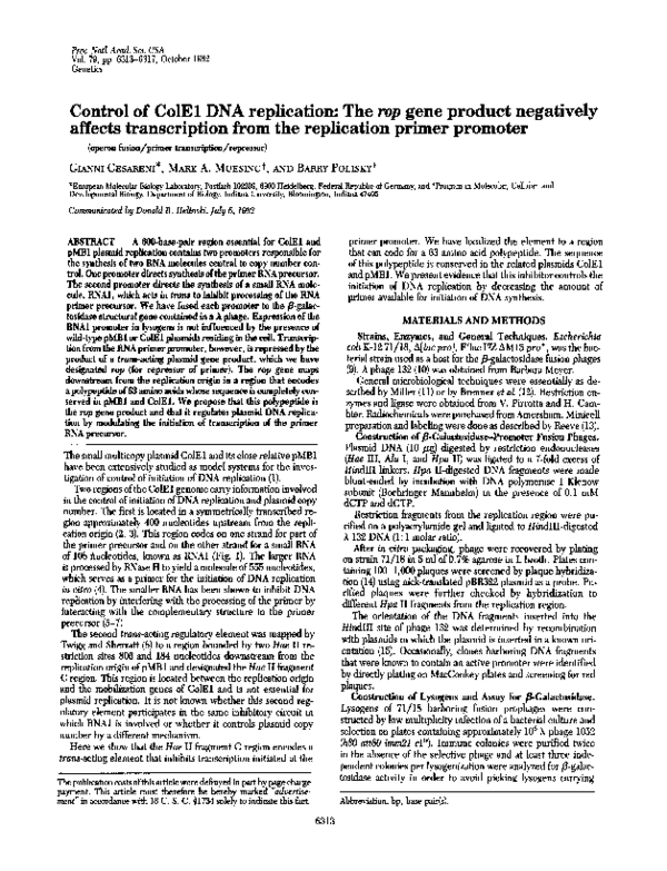 (PDF) Control of ColE1 DNA replication: the rop gene product negatively ...