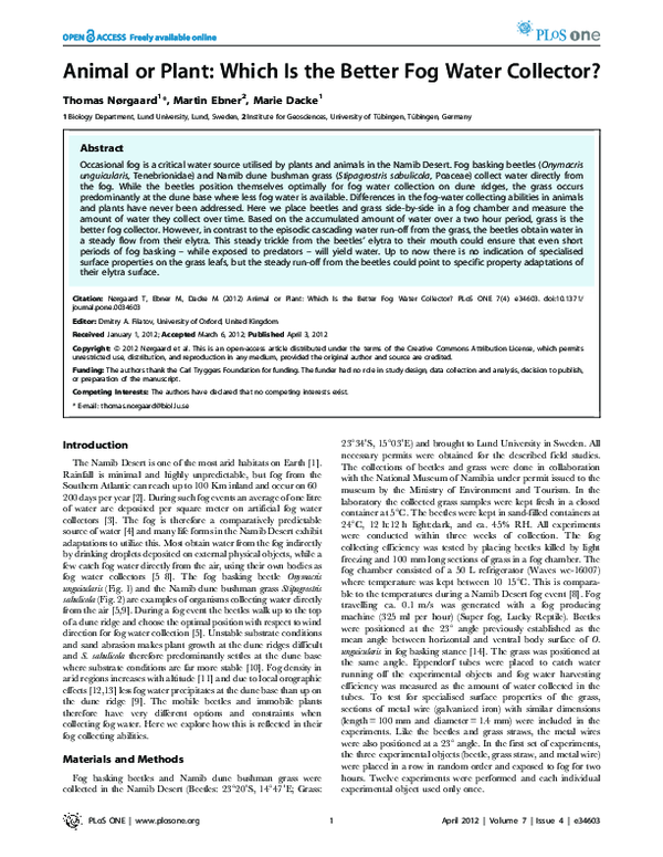 (PDF) Animal or Plant: Which Is the Better Fog Water Collector?