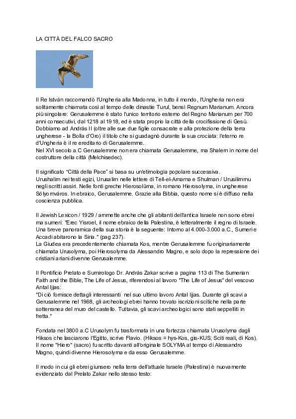 (DOC) La citta del Falco Sacro