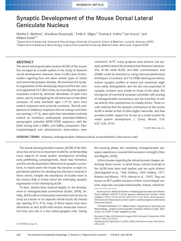 (PDF) Synaptic development of the mouse dorsal lateral geniculate nucleus