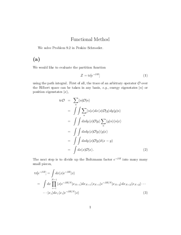 (PDF) The Functional Method