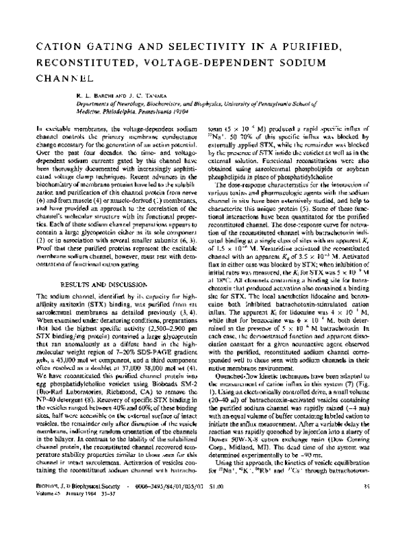 (PDF) Mechanisms of Gating in Sodium Channels
