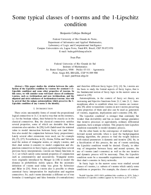 (PDF) Some typical classes of t-norms and the 1-Lipschitz Condition