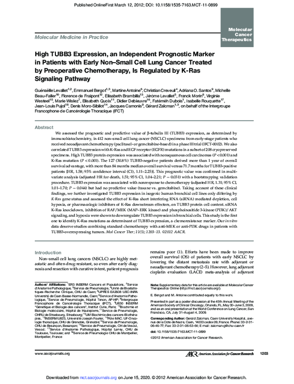 (PDF) High TUBB3 expression, an independent prognostic marker in ...
