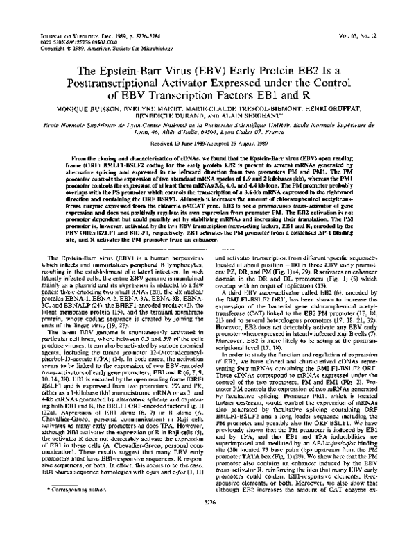 (PDF) The Epstein-Barr virus (EBV) early protein EB2 is a ...