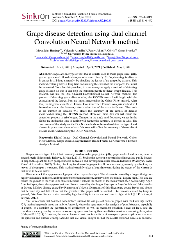 (PDF) Grape disease detection using dual channel Convolution Neural Network method