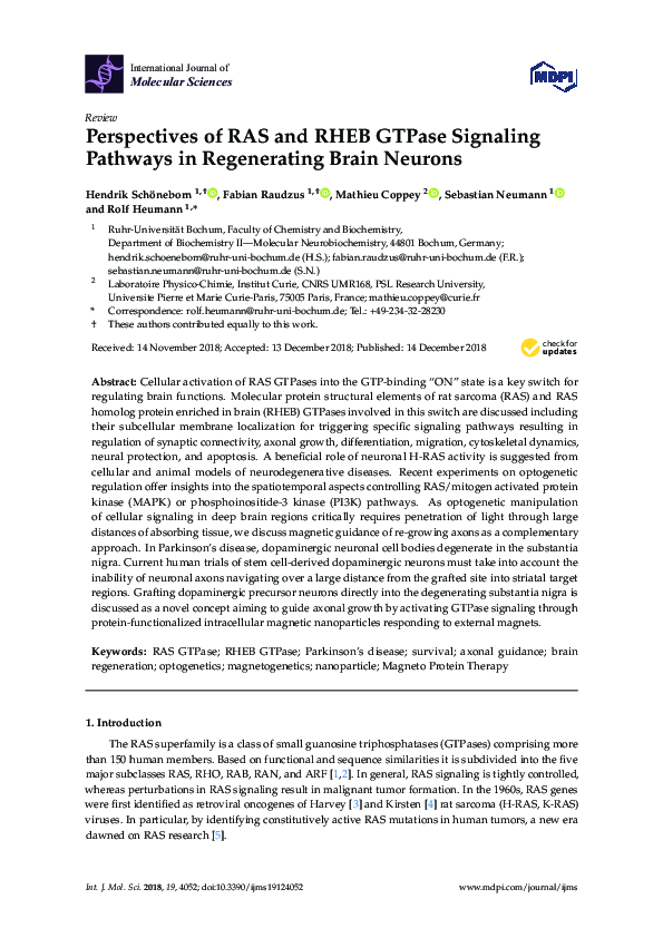 (PDF) Perspectives of RAS and RHEB GTPase Signaling Pathways in ...