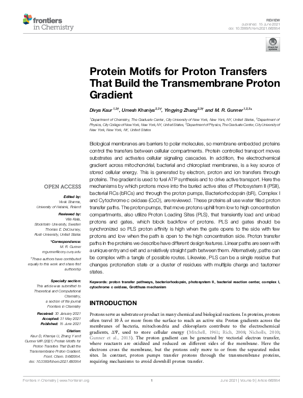 (PDF) Protein Motifs for Proton Transfers That Build the Transmembrane ...