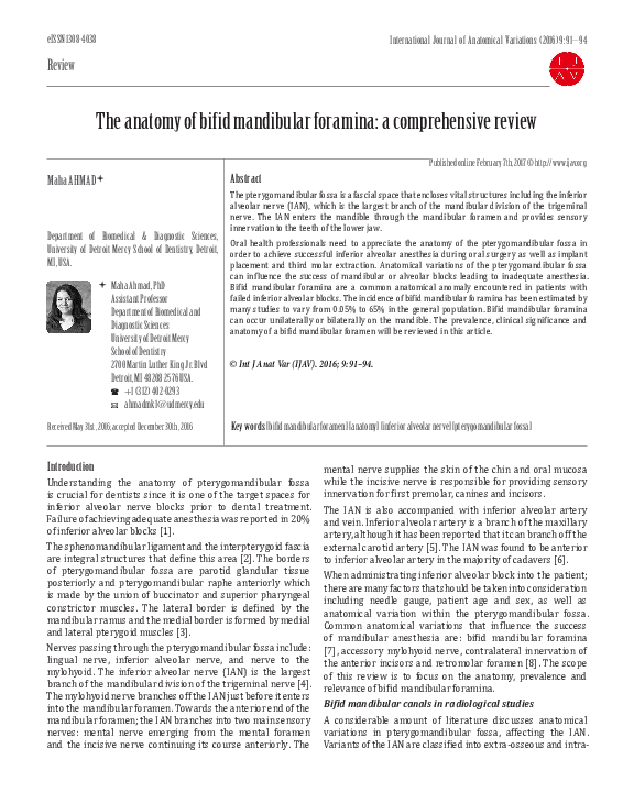 (PDF) The anatomy of bifid mandibular foramina: a comprehensive review