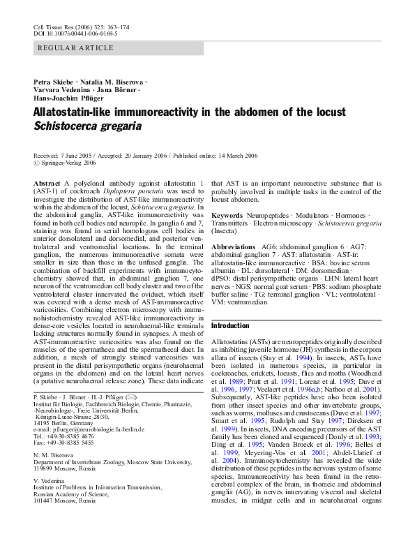 (PDF) Allatostatin-like immunoreactivity in the abdomen of the locust ...