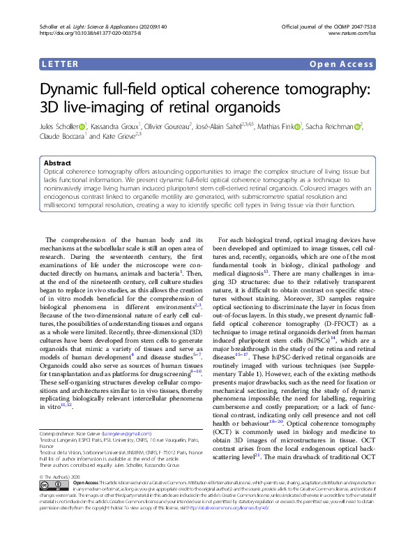 (PDF) Dynamic full-field optical coherence tomography: 3D live-imaging ...
