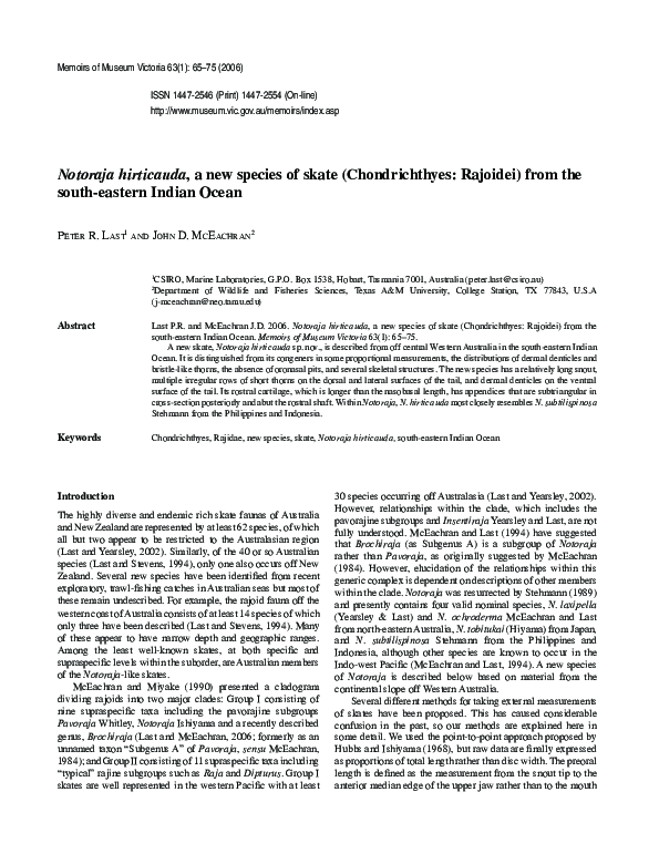 (PDF) Notoraja hirticauda, a new species of skate (Chondrichthyes ...