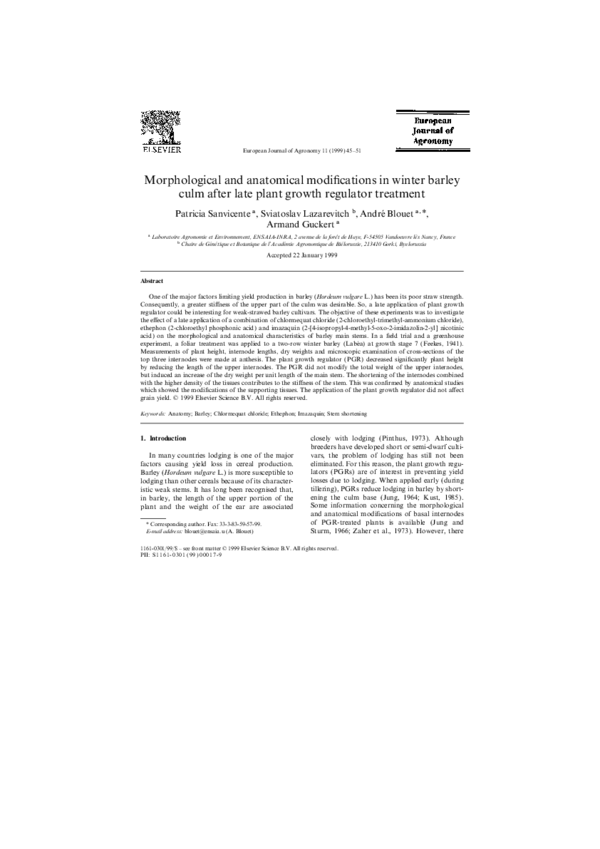 (PDF) Morphological and anatomical modifications in winter barley culm ...