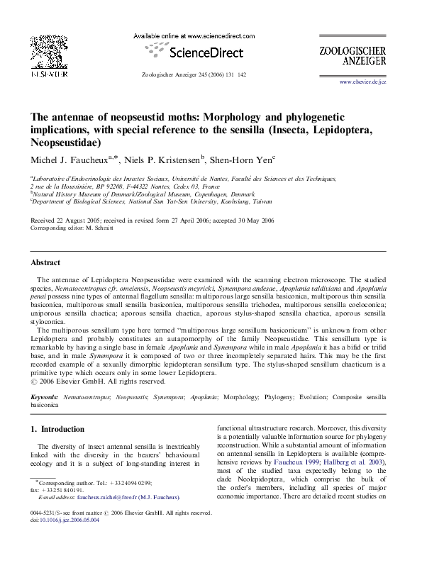(PDF) The antennae of neopseustid moths: Morphology and phylogenetic ...