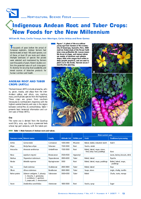 (PDF) Indigenous Andean Root and Tuber Crops: new sources of food for ...