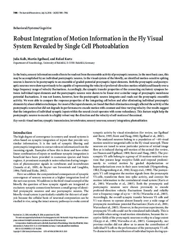 (PDF) Robust Integration of Motion Information in the Fly Visual System ...