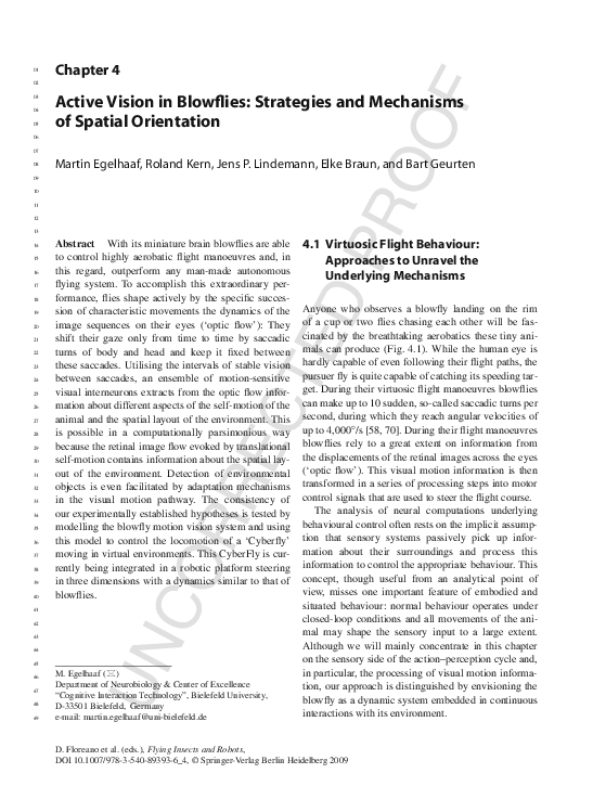 (PDF) Active Vision in Blowflies: Strategies and Mechanisms of Spatial ...
