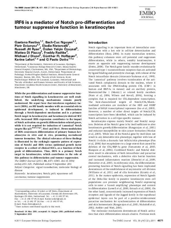 (PDF) IRF6 is a mediator of Notch pro-differentiation and tumour ...