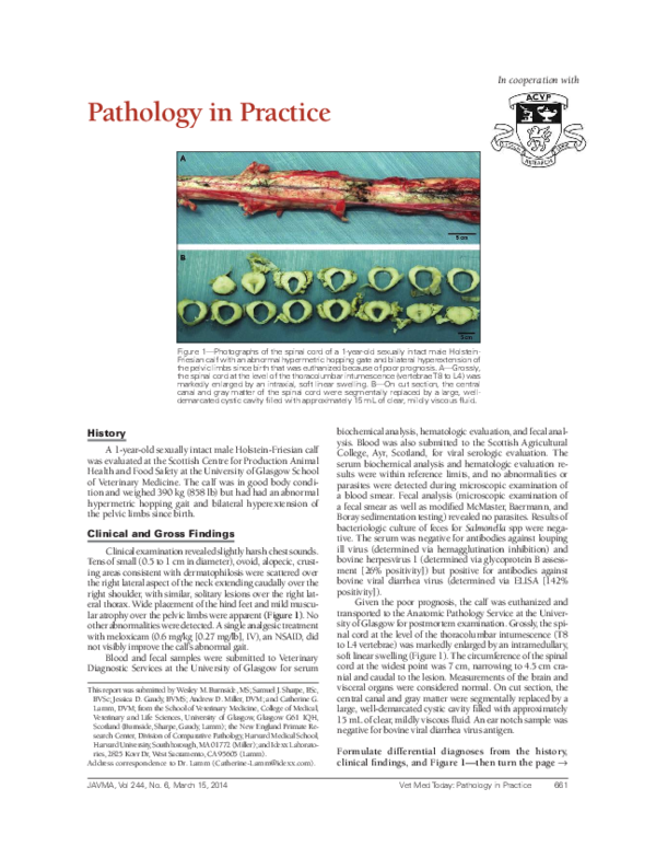 (PDF) Pathology in Practice
