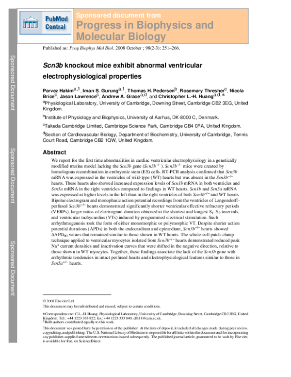 (PDF) Scn3b Knockout Mice Exhibit Abnormal Ventricular ...