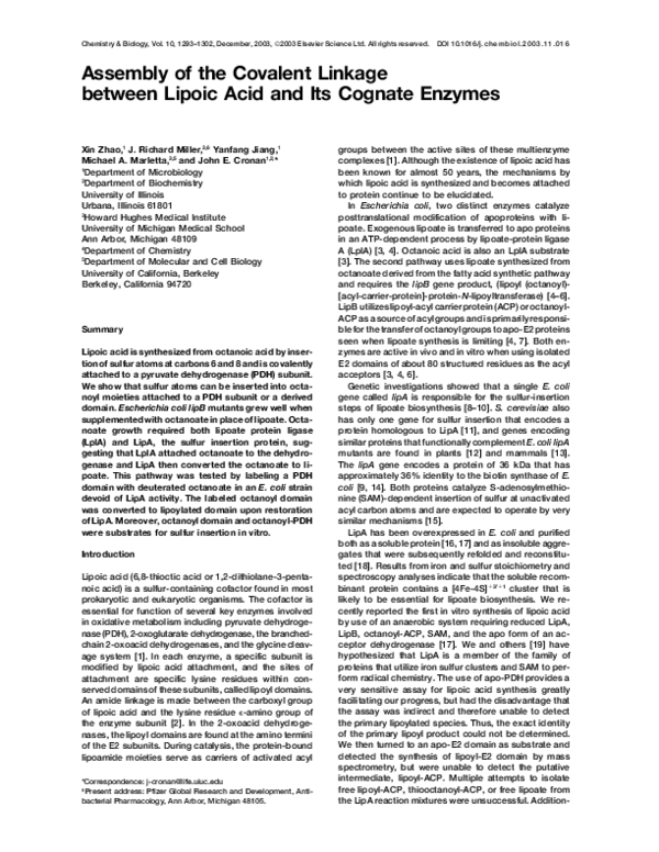 (PDF) Assembly of the Covalent Linkage between Lipoic Acid and Its ...
