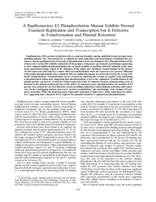 (PDF) A papillomavirus E2 phosphorylation mutant exhibits normal ...