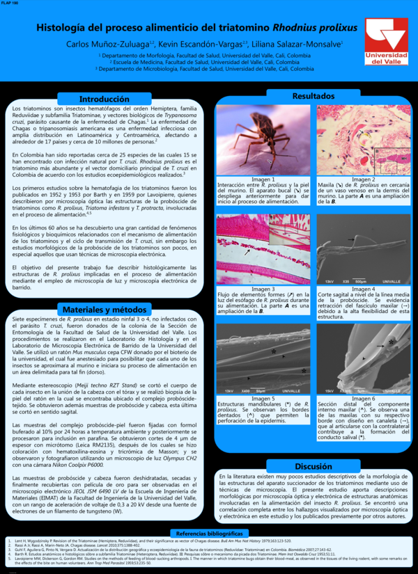 (PDF) Histología del proceso alimenticio del triatomino Rhodnius prolixus