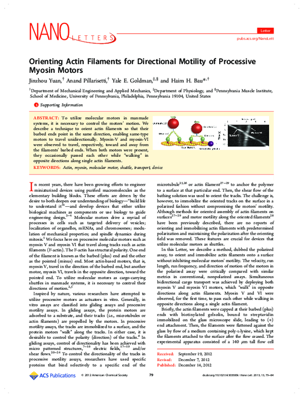 (PDF) Orienting Actin Filaments for Directional Motility of Processive ...