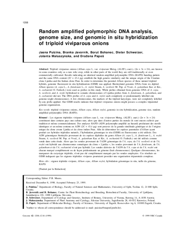 (PDF) Random amplified polymorphic DNA analysis, genome size, and ...